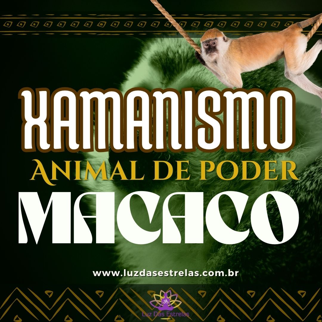 Xamanismo – Animal de Poder Macaco - Luz das Estrelas